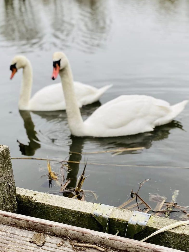 Nature’s Palette: A Colourful Scavenger Hunt for Kids and Adults ...